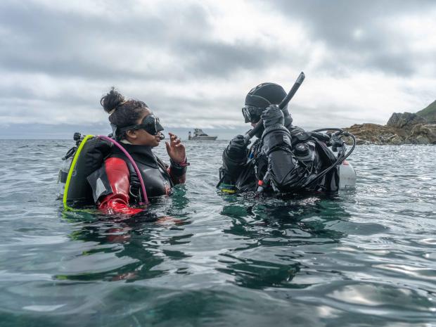 PADI Professional Diver eLearning Program